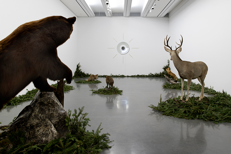 Qui est Gabriel Rico, artiste mexicain invité à la Biennale de Venise